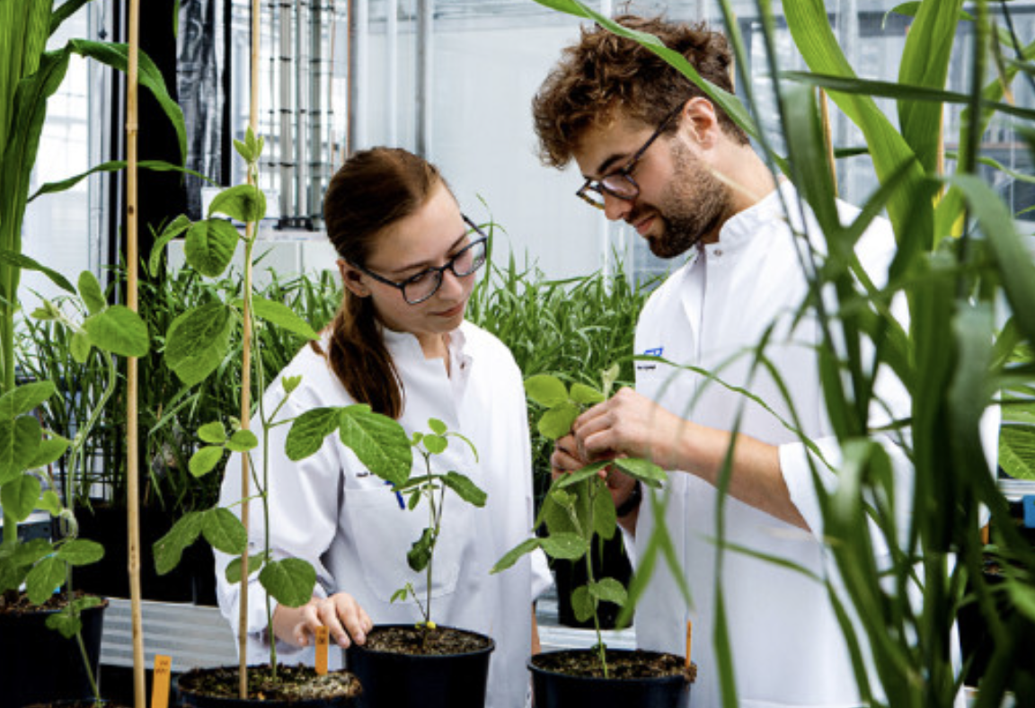 Chr. Hansen, biotech al servizio del cibo e dell'ambiente