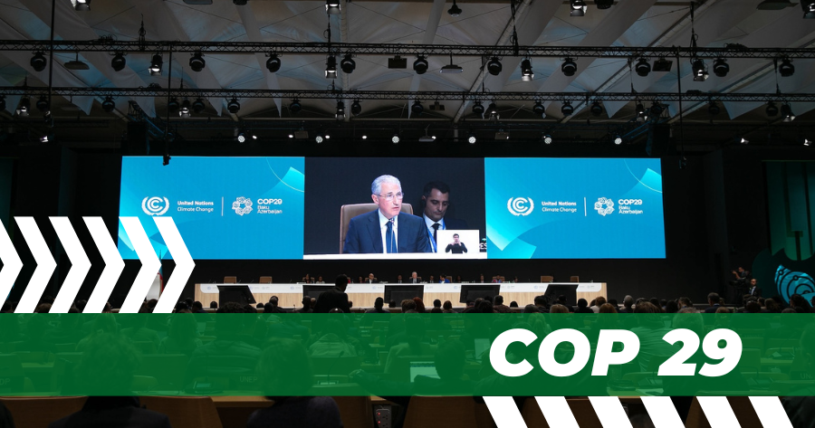 Cop29, annunciato un primo passo avanti sui carbon credit