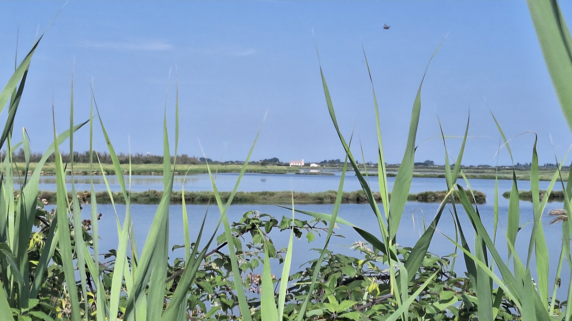 Sentenza storica contro le trivelle, esulta il Delta del Po Veneto